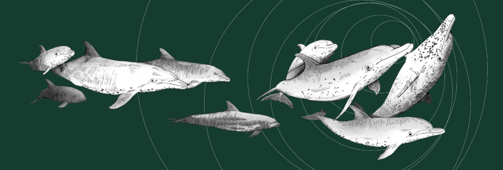 Event Storming: using Post-it notes to deep dive into processes